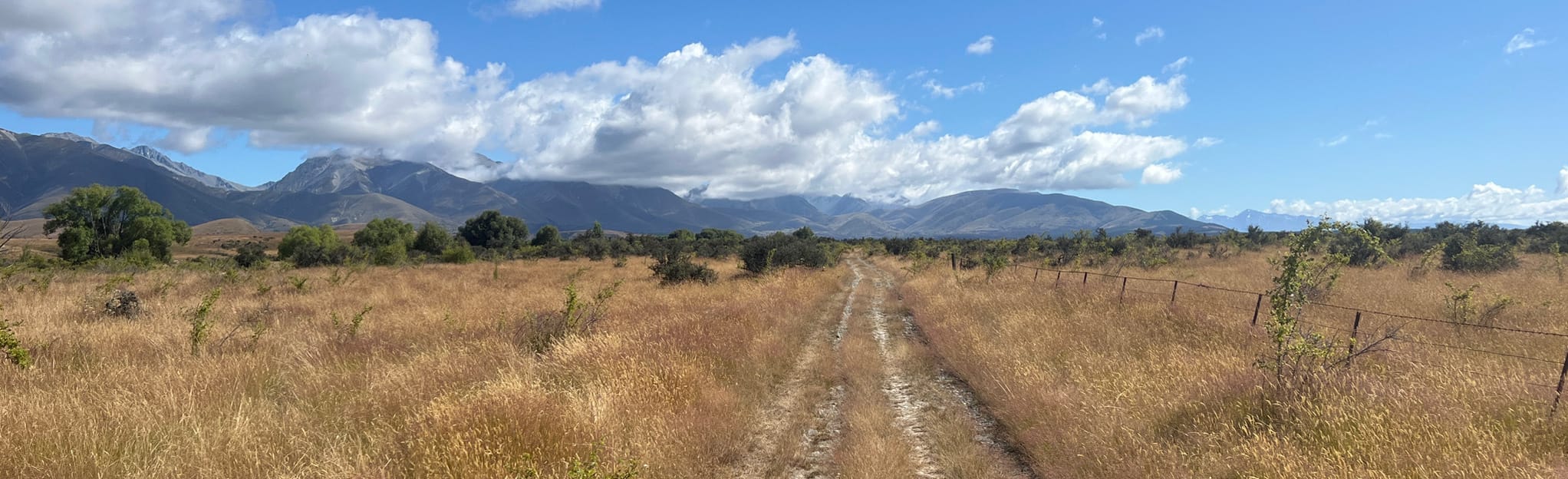 AllTrails | Dusky Trail to Darts Bush/Upper Fraser Stream Junction: 14 ...