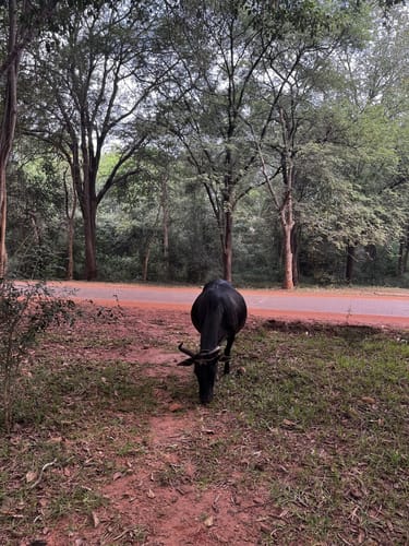 2023 Best Trails in Vanur | AllTrails