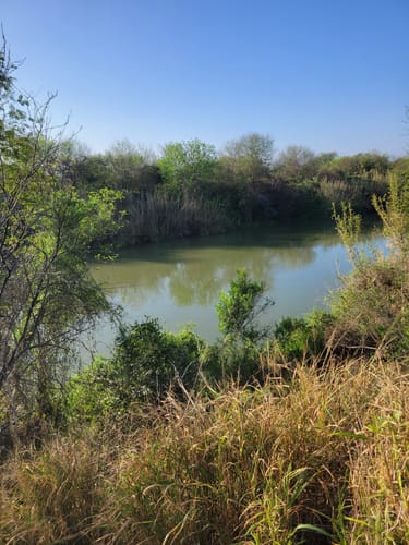 Best Hikes and Trails in Santa Ana National Wildlife Refuge | AllTrails