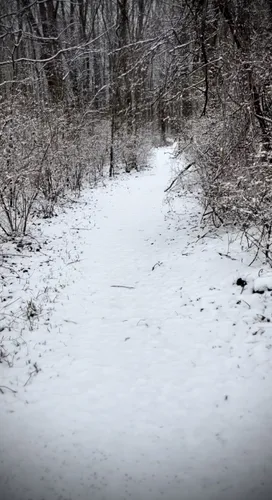 Best Hikes and Trails in Bradner Preserve | AllTrails