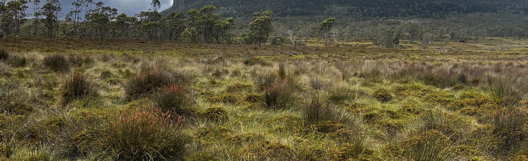 Overland Track: 354 Reviews, Map - Tasmania, Australia | AllTrails