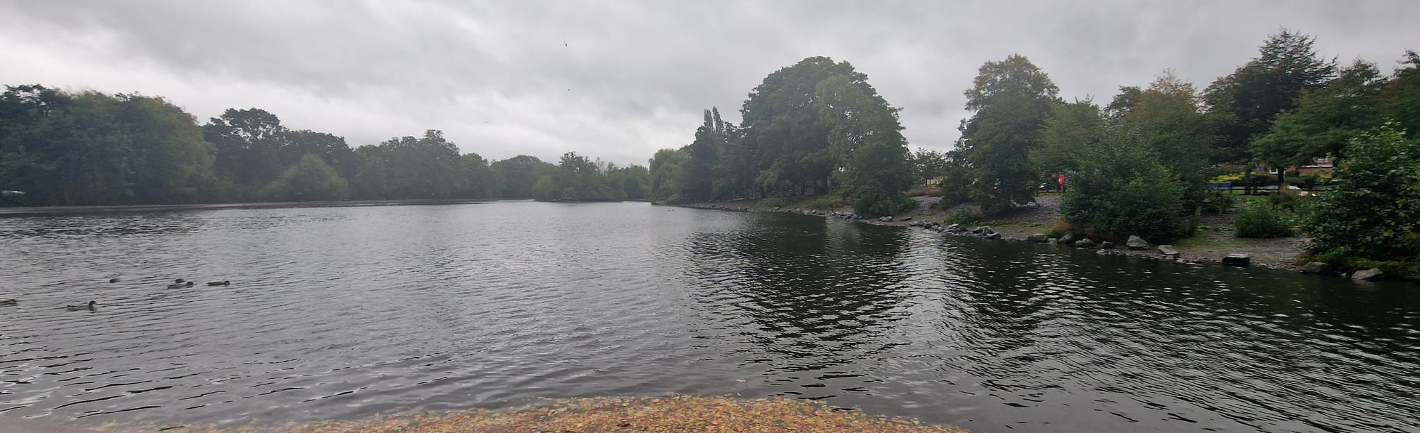 Mill Pool Circular | Map, Guide - West Midlands, England | AllTrails