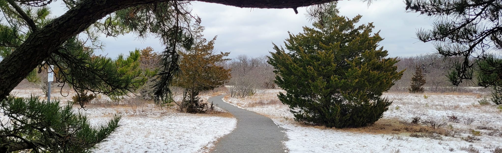 Bill Forward Bird Blind Trail, Massachusetts - 8 Reviews, Map | AllTrails