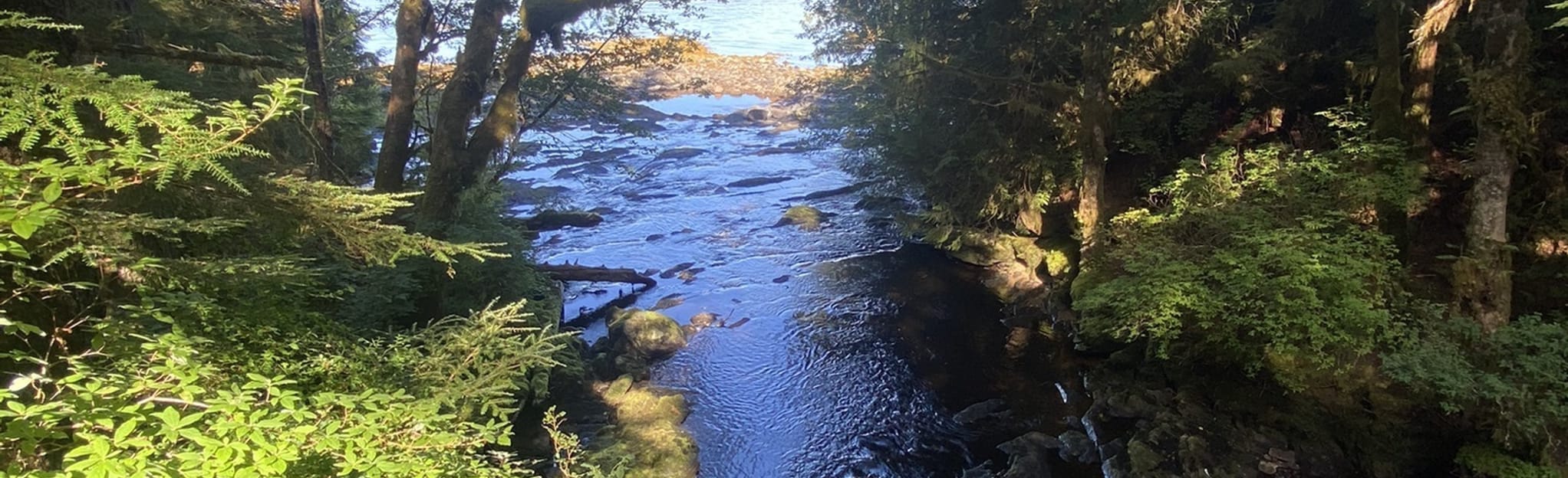 Lunch Falls Trail: 55 Reviews, Map - Alaska | AllTrails