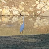 Josey Ranch Lake, Texas - 58 Reviews, Map | AllTrails