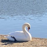 Josey Ranch Lake, Texas - 58 Reviews, Map | AllTrails