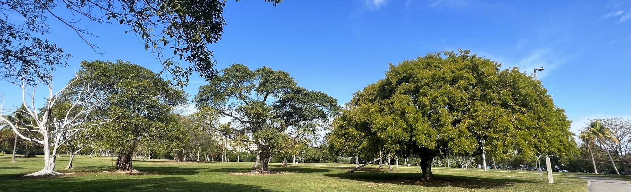 FIU Biscayne Bay Arch Creek East: 69 Reviews, Map - Florida | AllTrails