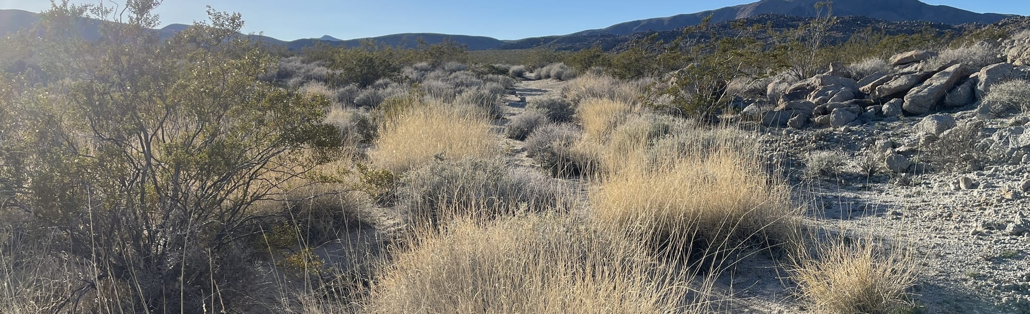 Ruby Lee Mill Site and Porcupine Wash Loop: 97 Fotos - Califórnia ...