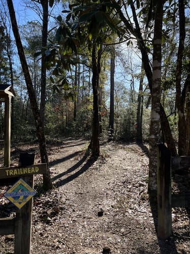 Best Hikes and Trails in Wakulla State Forest | AllTrails
