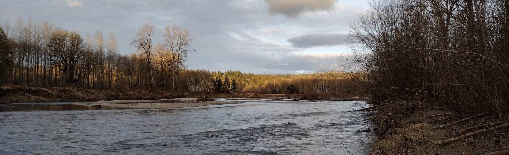 Chinook Bend Natural Area Loop - Washington | AllTrails