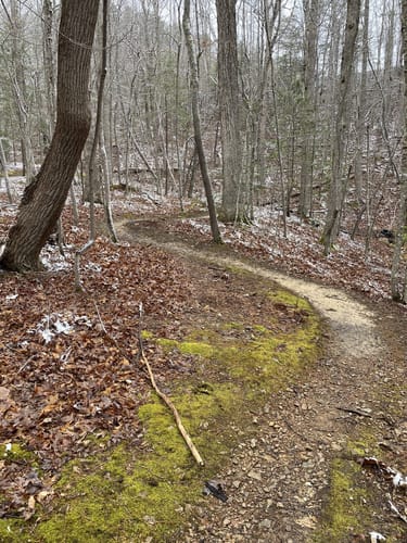Best Hikes and Trails in Bluefield City Park | AllTrails