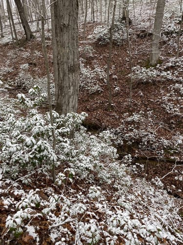 Best Hikes and Trails in Bluefield City Park | AllTrails