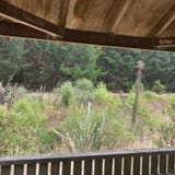 Bottle Lake Forest Blue Track, Canterbury, New Zealand - 238 Reviews ...