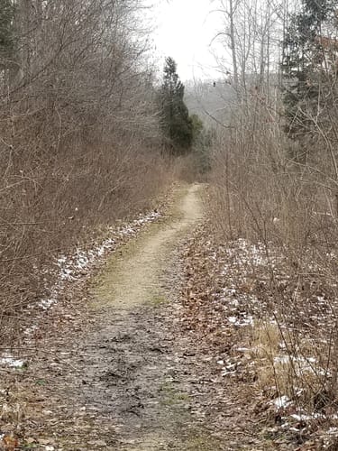 Best Hikes and Trails in Springs Valley Recreation Area | AllTrails