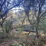 Dragoon Gulch Trail, California - 840 Reviews, Map | AllTrails