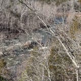 Silver Mine Trail, Missouri - 254 Reviews, Map | AllTrails