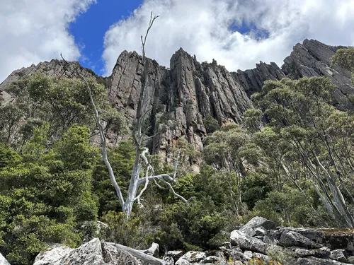 10 Best Trails and Hikes in Fern Tree | AllTrails