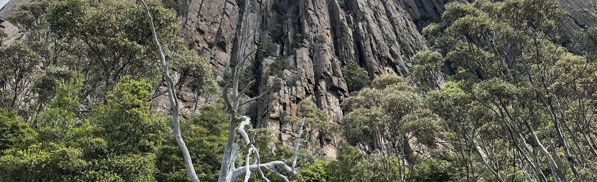 Mount Stuart to The Organ Pipes: 4 Reviews, Map - Tasmania, Australia ...