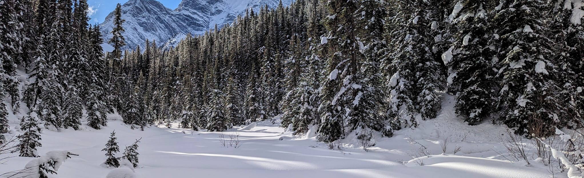 Patterson: 2 Reviews, Map - Alberta, Canada | AllTrails