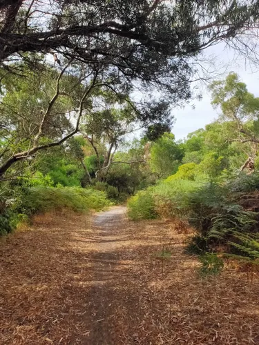 Best Hikes and Trails in Western Port Coastal Reserve | AllTrails