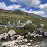 Illawong Walk, New South Wales, Australia - 275 Reviews, Map | AllTrails