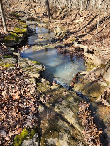 Best Hikes and Trails in Meramec Conservation Area | AllTrails