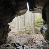 Ox Lot Cave via Rim Trail, Illinois - 345 Reviews, Map | AllTrails