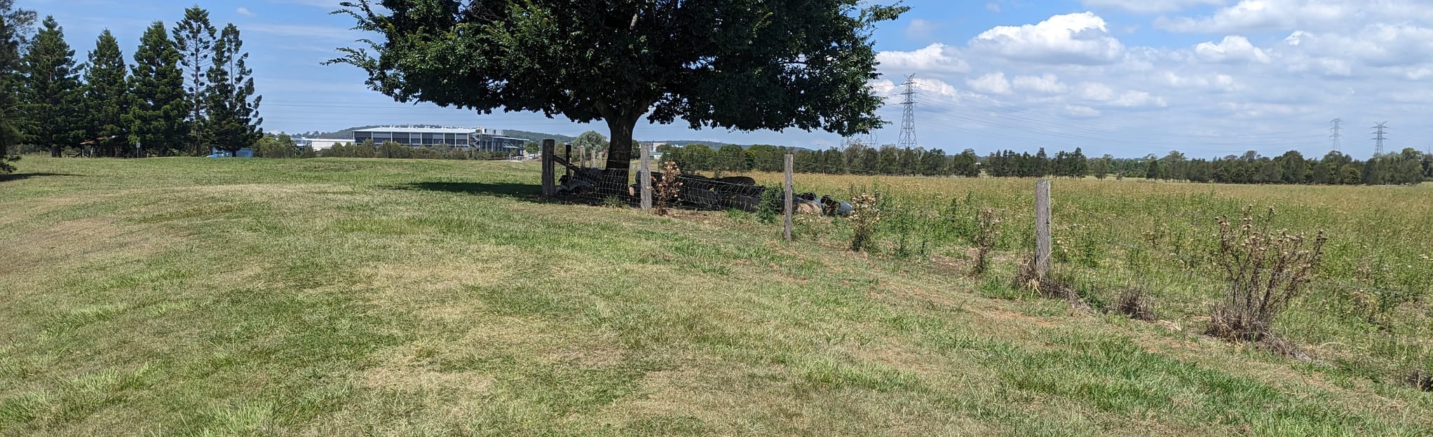 Oxley Creek Common Walk : 170 foto's - Queensland, Australia | AllTrails