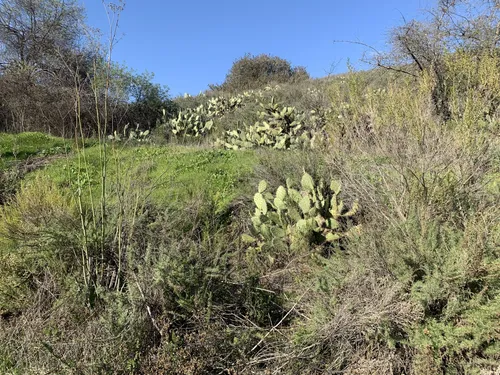 Best Hikes and Trails in Camp Pendleton | AllTrails