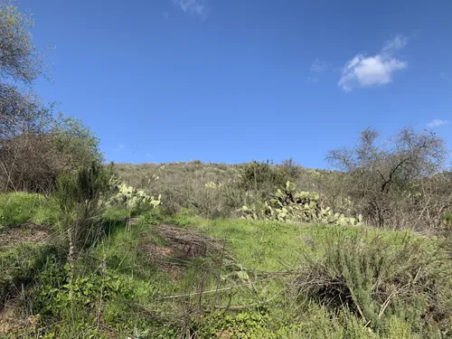 Best Hikes and Trails in Camp Pendleton | AllTrails