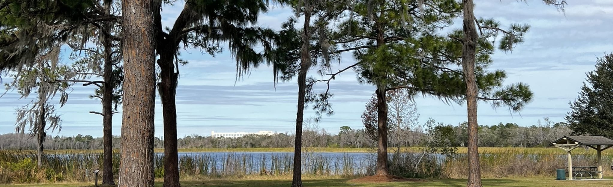 Lake Park Loop: 318 Reviews, Map - Florida | AllTrails