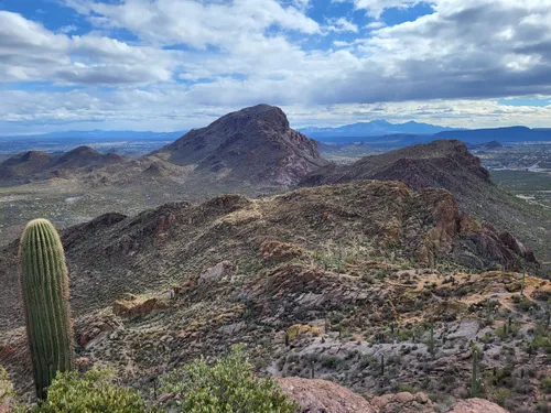 10 Best Hikes and Trails in Tucson Mountain Park | AllTrails