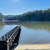 Cedar Ridge Trail Loop, North Carolina - 660 Reviews, Map | AllTrails