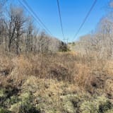 Cedar Ridge Trail Loop, North Carolina - 660 Reviews, Map | AllTrails