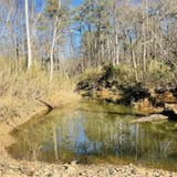 Cedar Ridge Trail Loop, North Carolina - 660 Reviews, Map | AllTrails