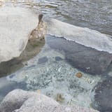 Remington Hot Spring Trail, California - 426 Reviews, Map | AllTrails