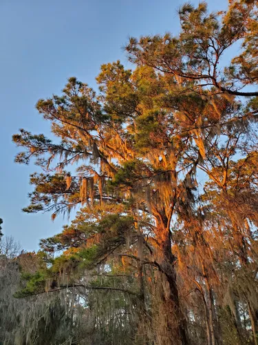 Best Hikes and Trails in Lake Mayer Park | AllTrails