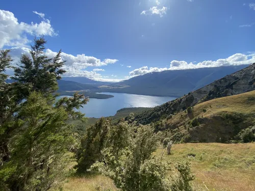 10 Best Hikes and Trails in Nelson Lakes National Park | AllTrails