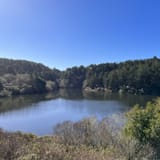 Alamere Falls via Olema Valley, Bolema, Lake Ranch, Coast Trail ...