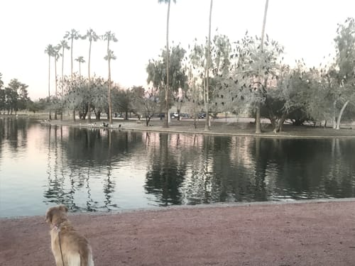 Best Hikes and Trails in Chaparral Park | AllTrails
