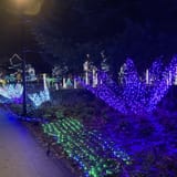 Lafarge Lake Loop, British Columbia, Canada - 224 Reviews, Map | AllTrails