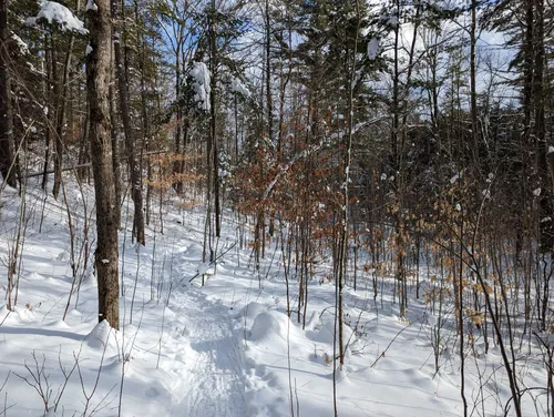 Best Hikes and Trails in Calabogie | AllTrails