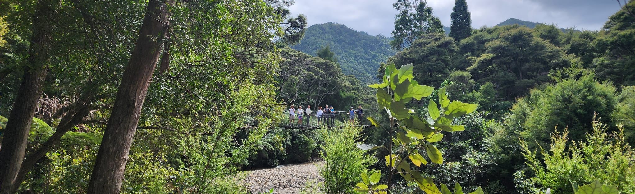 Forest Road Track, Auckland, New Zealand - 4 Reviews, Map | AllTrails