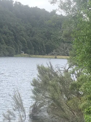 2023 Best Wild Flowers Trails in Raupunga | AllTrails