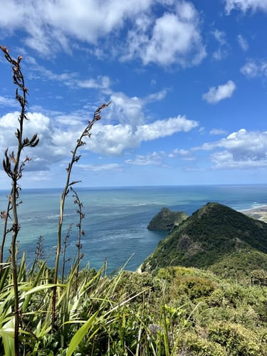 2023 Best Cave Trails in Waitakere Ranges Regional Park | AllTrails