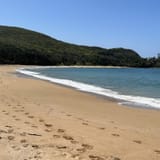 Bouddi Coastal Walk: Little Beach to Putty Beach, New South Wales ...