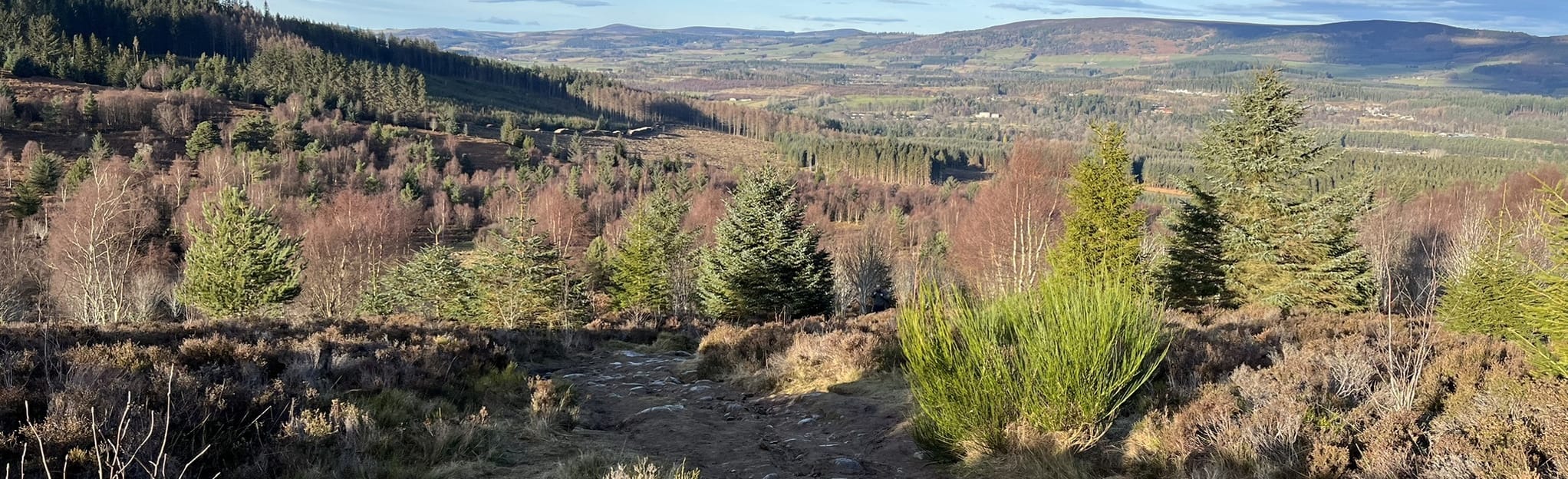 Blackhall Forest and Scolty Hill Circular, Aberdeenshire, Scotland - 3 ...