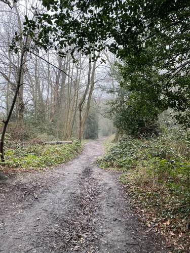 Best Hikes and Trails in Victoria Recreation Ground | AllTrails