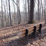 Tecumseh Trail, Indiana - 328 Reviews, Map | AllTrails