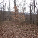 Tecumseh Trail, Indiana - 348 Reviews, Map | AllTrails